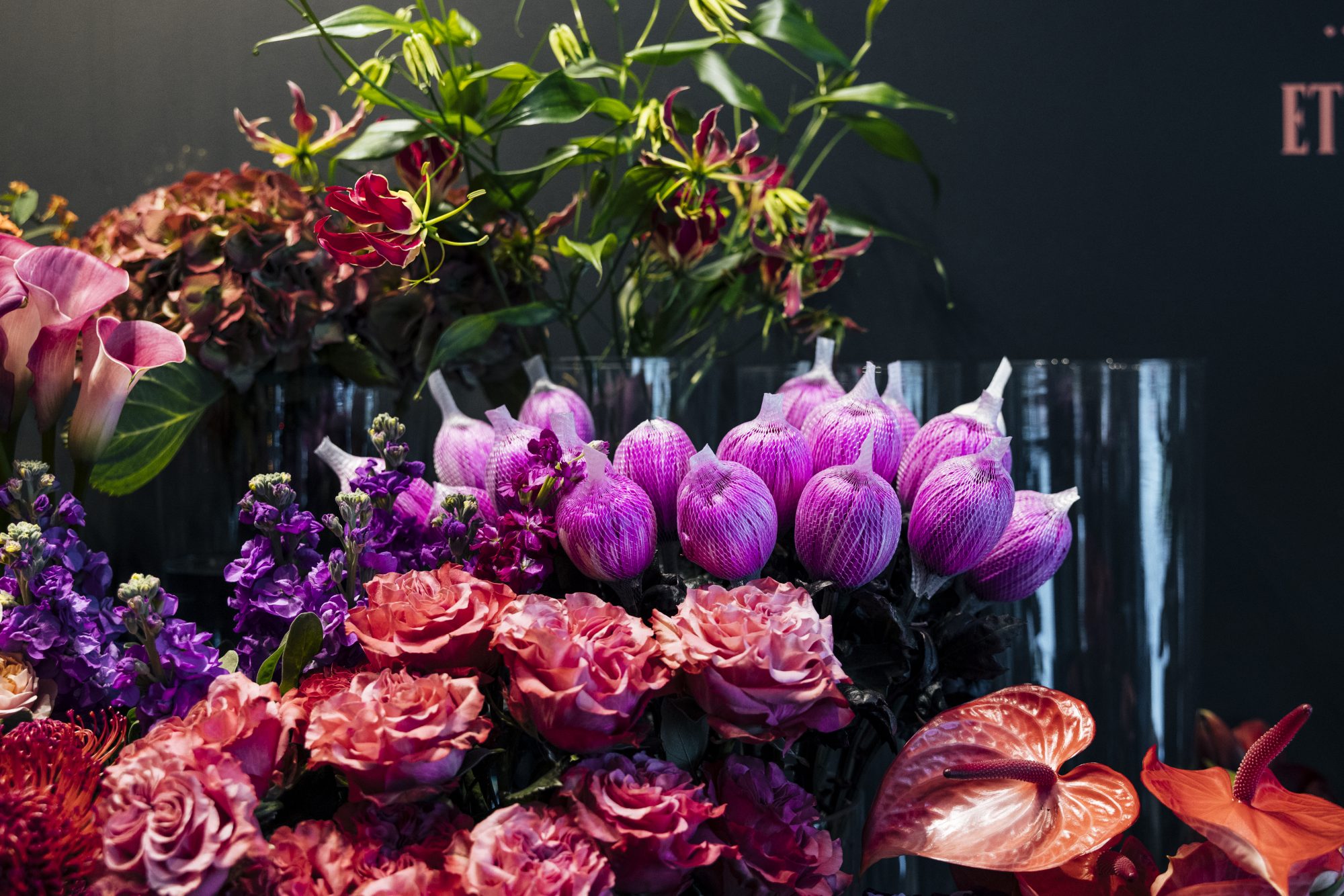 Jungle Pop - Fondetec